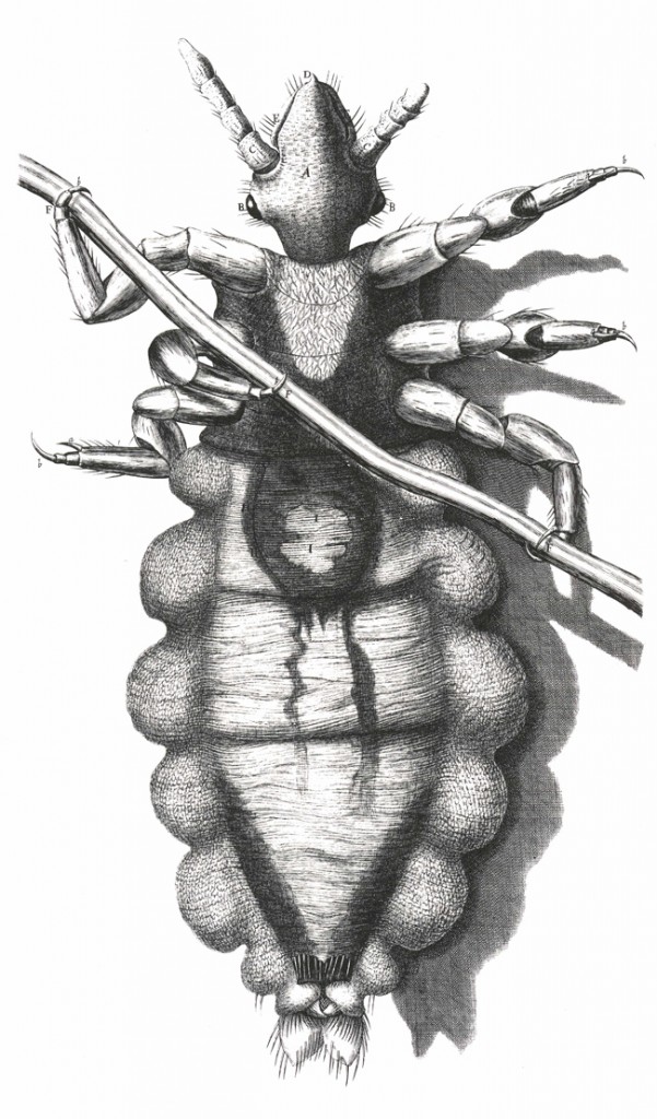 Products Page « Science Heritage